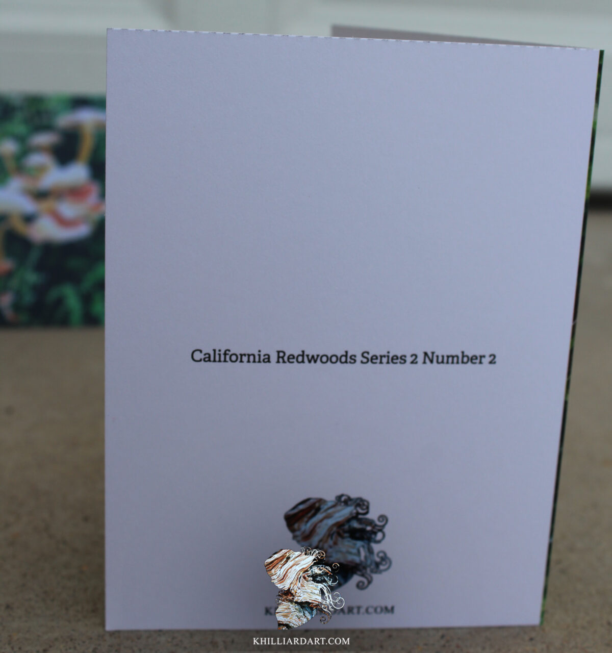 California Redwood Series Greeting Cards – Karen Hilliard Art